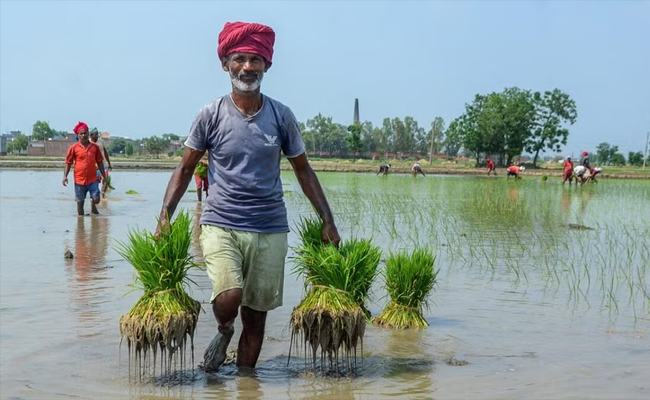 Farmer suicides decline in Karnataka due to Congress-led govt ...